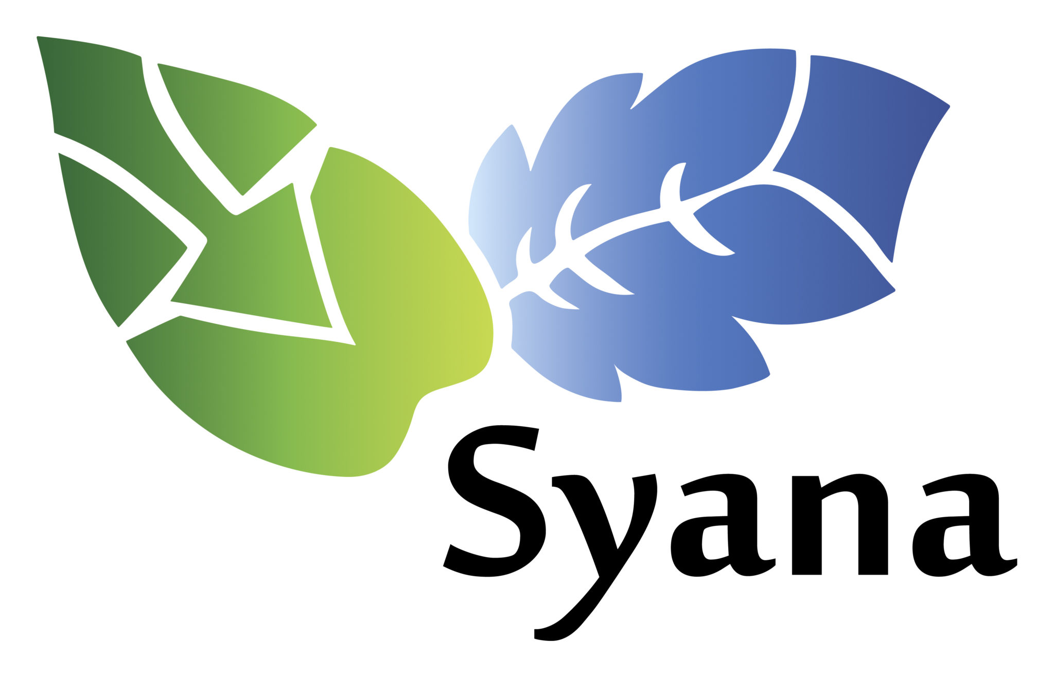 Bienvenue - Syana.ch
